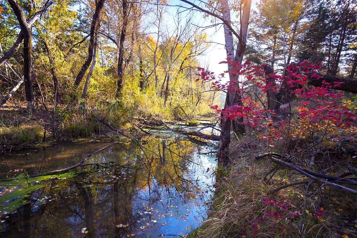 Water Means Life Foundation